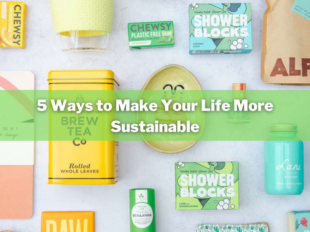 5 Ways To Make Your Life More Sustainable – Green Heart Collective