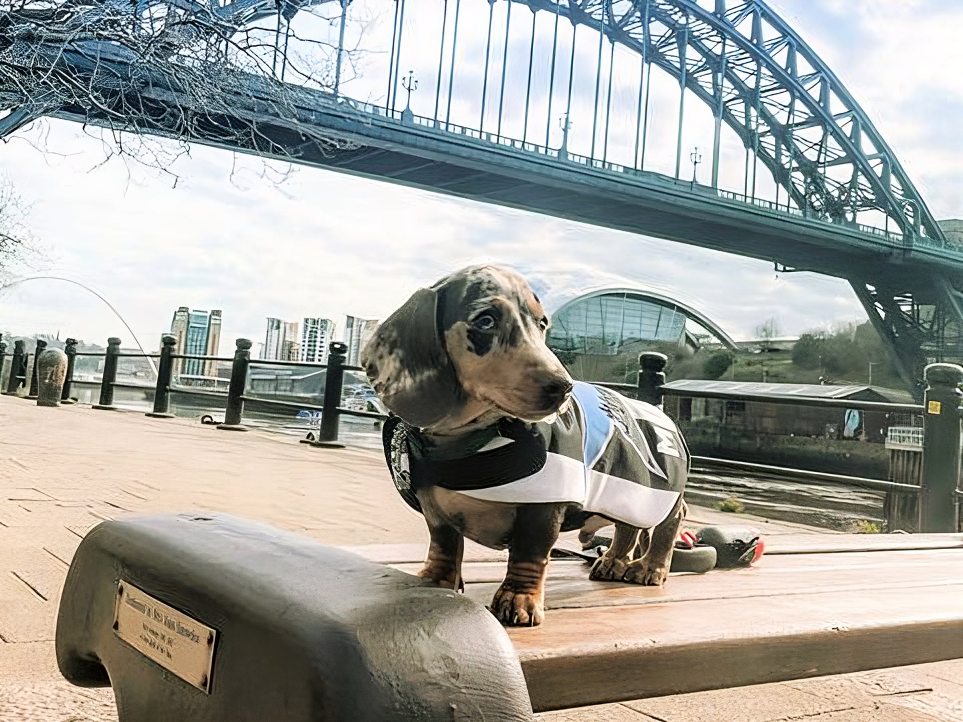 Turning Second-Hand Football Kits into Upcycled Streetwear – Green ...